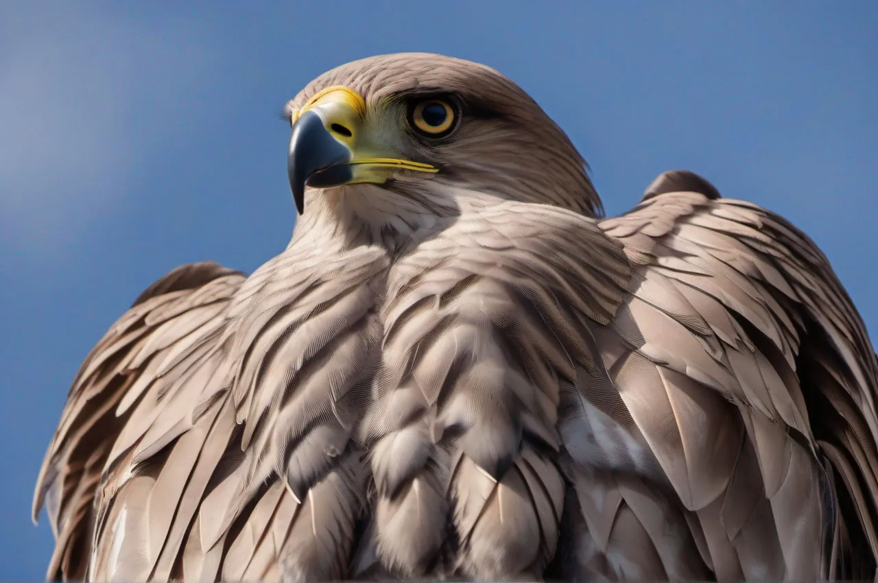 Falcon 180B: найбільша відкрита мовна модель зі 180 мільярдами ...